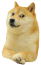 Dogetizer 😁👉🐶 | Doge Much Wow