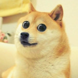 Doge Meme Blank