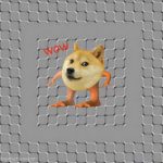 What Is A Cursed Image? 🤔 | Doge Much Wow