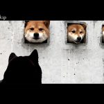 Images Of Cursed Dogs ☠️ | Doge Much Wow