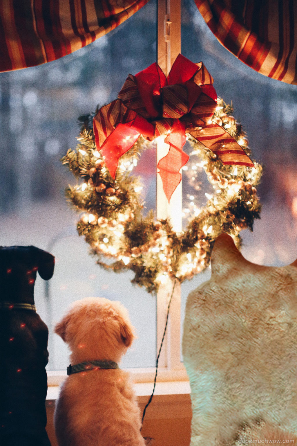 Christmas Themed Doge Wallpapers 🎄 | Doge Much Wow