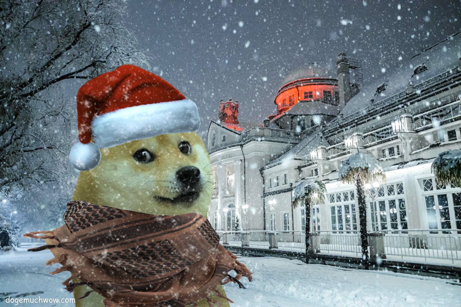 Christmas Themed Doge Wallpapers 2 🎁 | Doge Much Wow