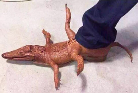Cursed Shoe Images Inspired By Nature 🩰 | Doge Much Wow