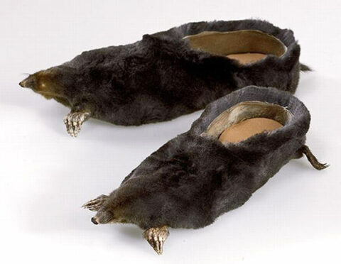 Cursed Shoe Images Inspired By Nature 🩰 | Doge Much Wow