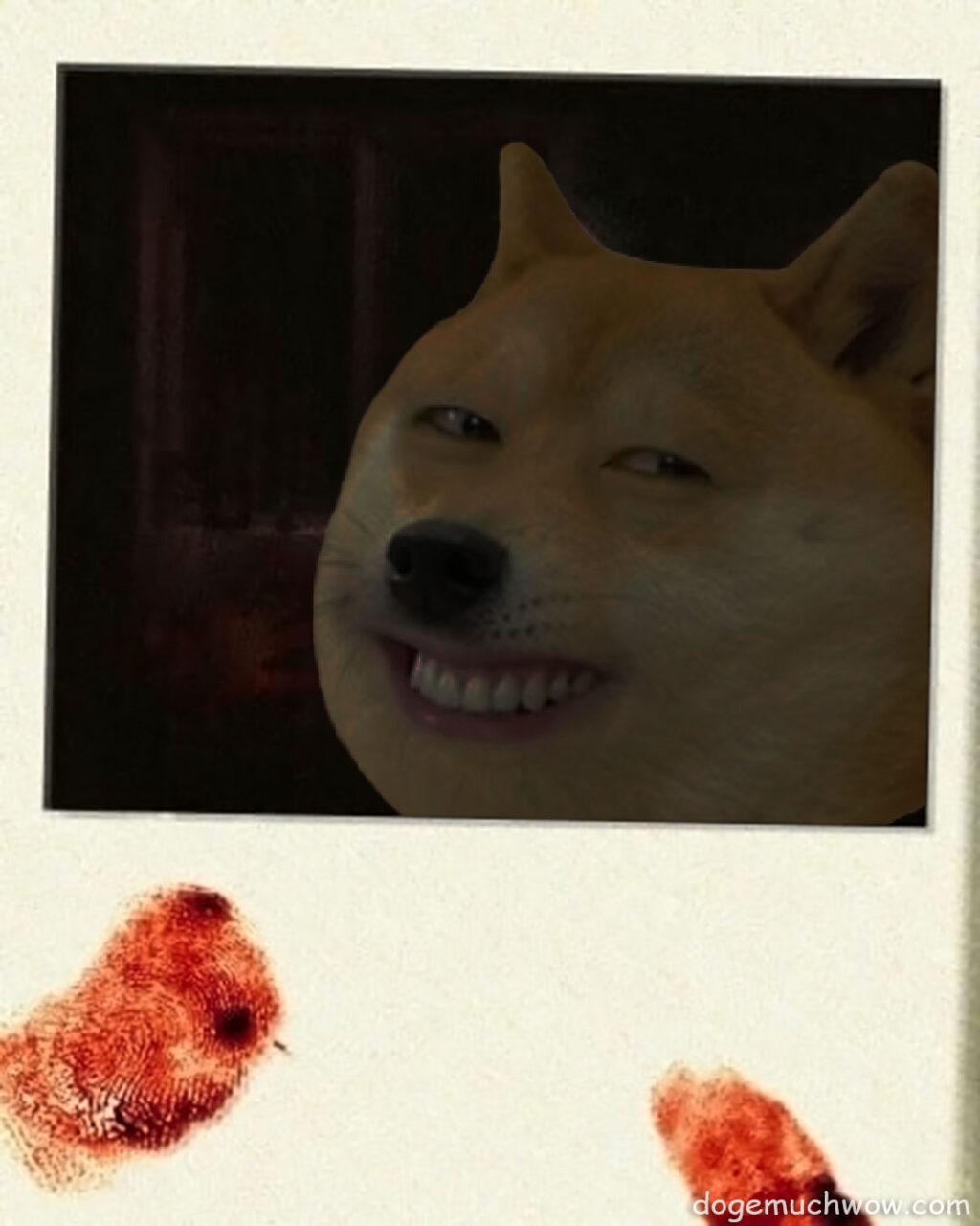 Have You Seen Smile Dog? 🙃 | Doge Much Wow