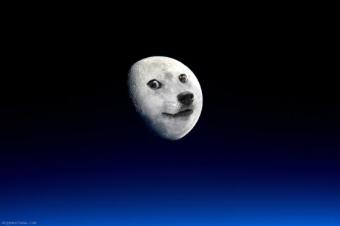 7 Space Doge Wallpapers In HD 🚀 | Doge Much Wow